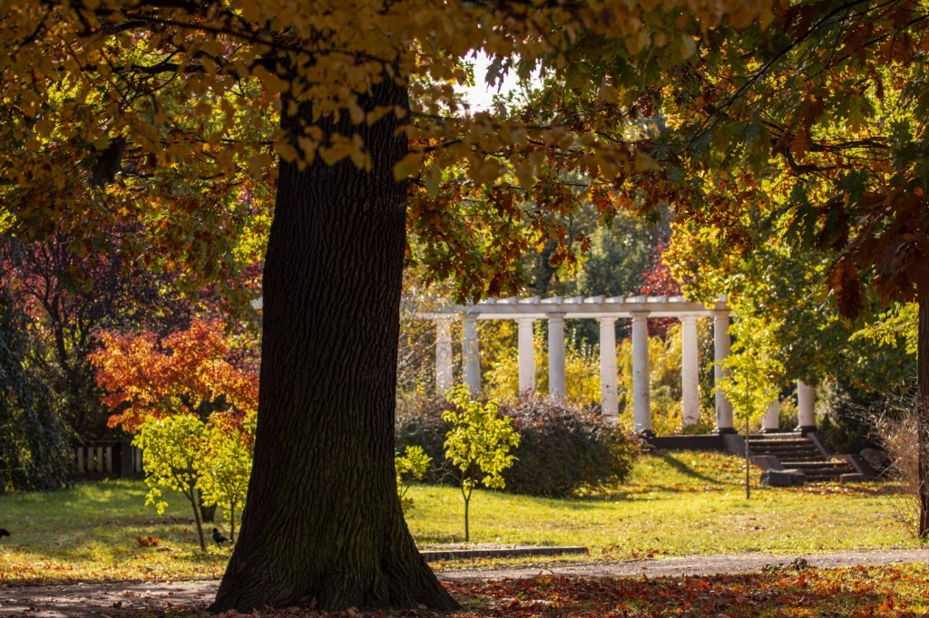 Złota polska jesień w Legnicy - Legnica - Oficjalny Portal Miasta ...